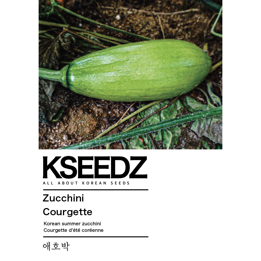 Zucchini Seeds – Ok Mart